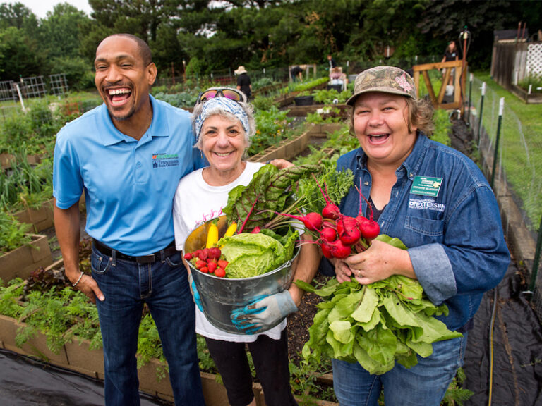 UT Continuing Education | The University of Tennessee System